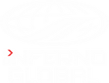 Inferno Sports Global